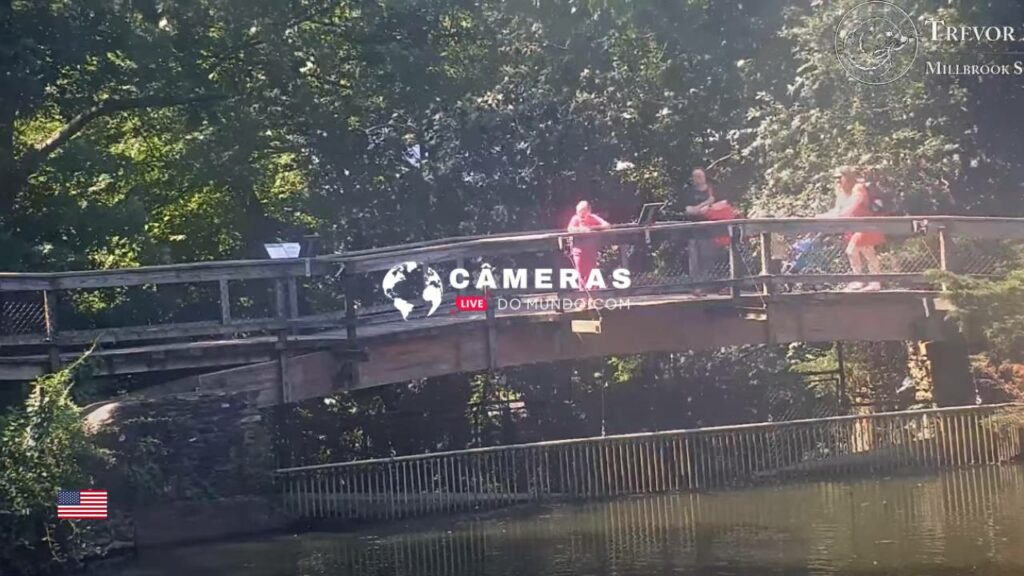 Jonesborough Historic District Live Webcam, Tennessee, USA | Live webcams