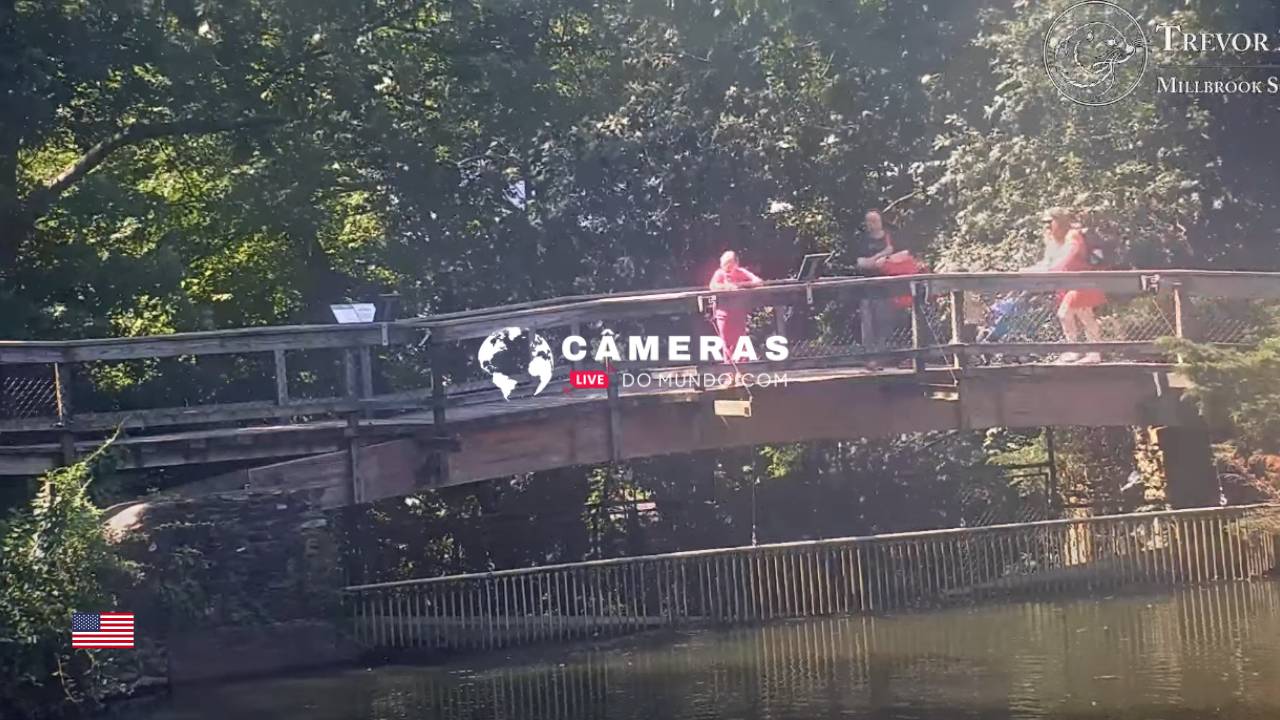 Live Temple Bar Pub Webcam, Dublin, Ireland | Live webcams