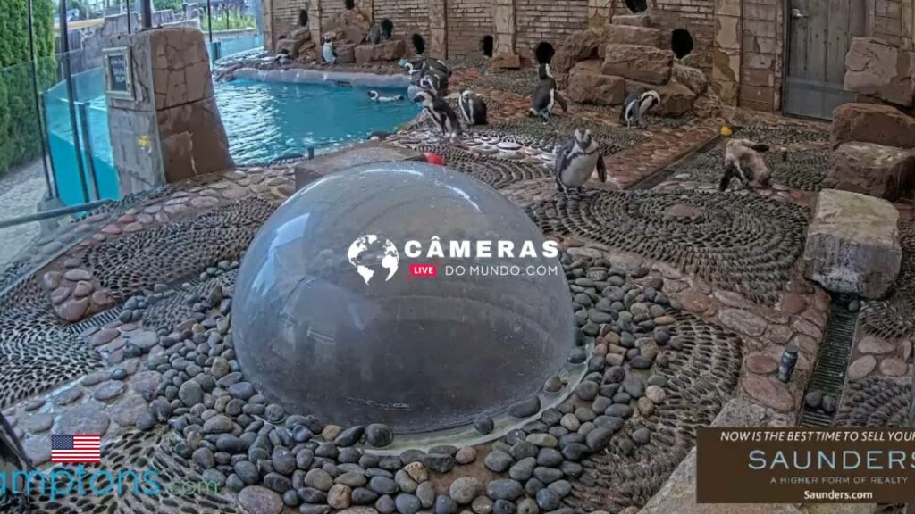 Dead Dog Saloon Stage Live Webcam, South Carolina | Live webcams