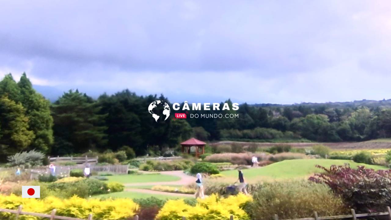 Live Webcam Western Wall, Jerusalem, Israel - Live webcams