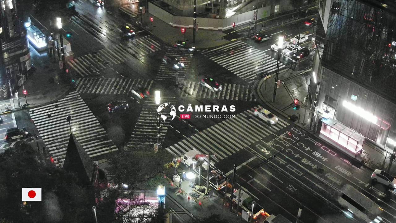 Live Webcam Sukiyabashi Scramble Crossing, Tokyo, Japan | Live webcams