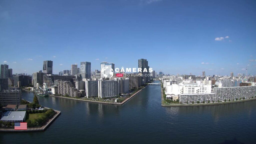 Live Port of Miami Cruise Webcam, Miami Harbor, Florida, USA | Live webcams