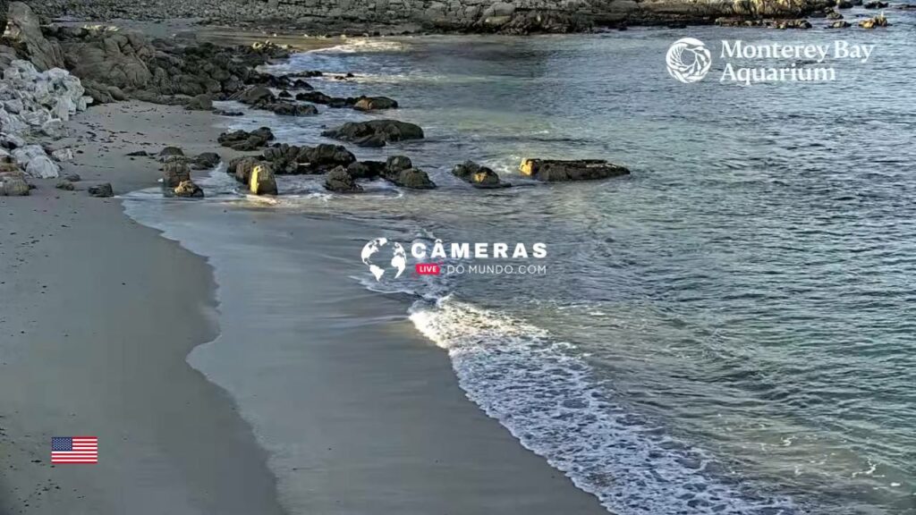 Nashville Panoramic View Live Webcam From Nissan Stadium, TN | Live webcams