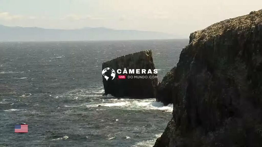 Dead Dog Saloon Stage Live Webcam, South Carolina | Live webcams