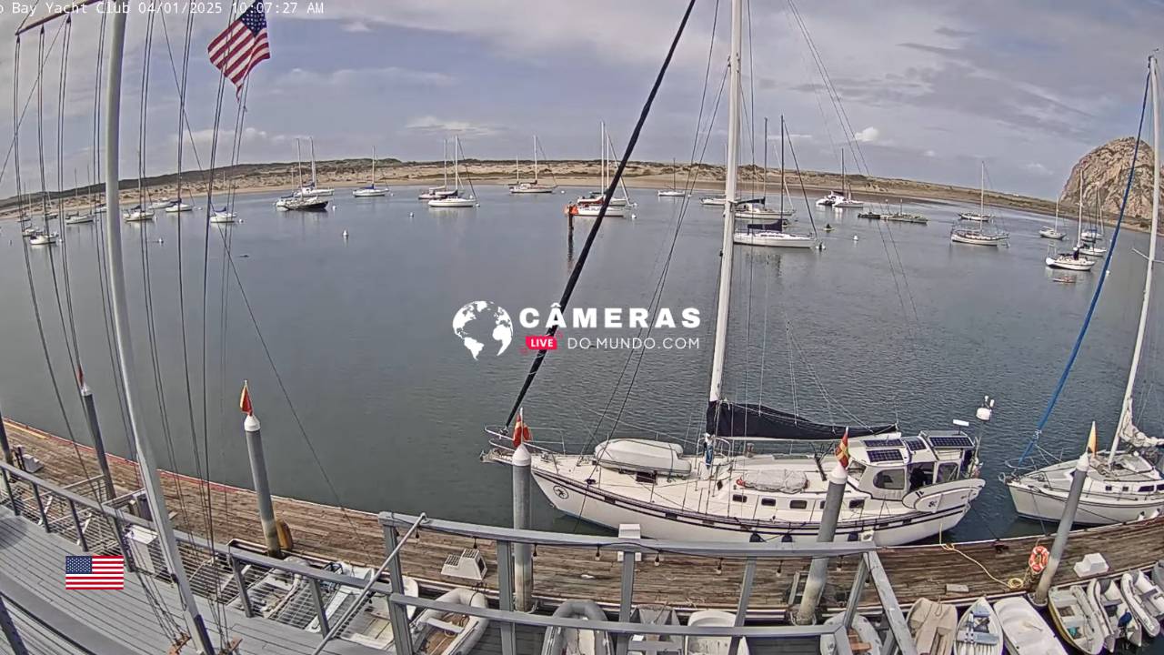 Live Webcams of the United States USA U.S | Live HD Cams