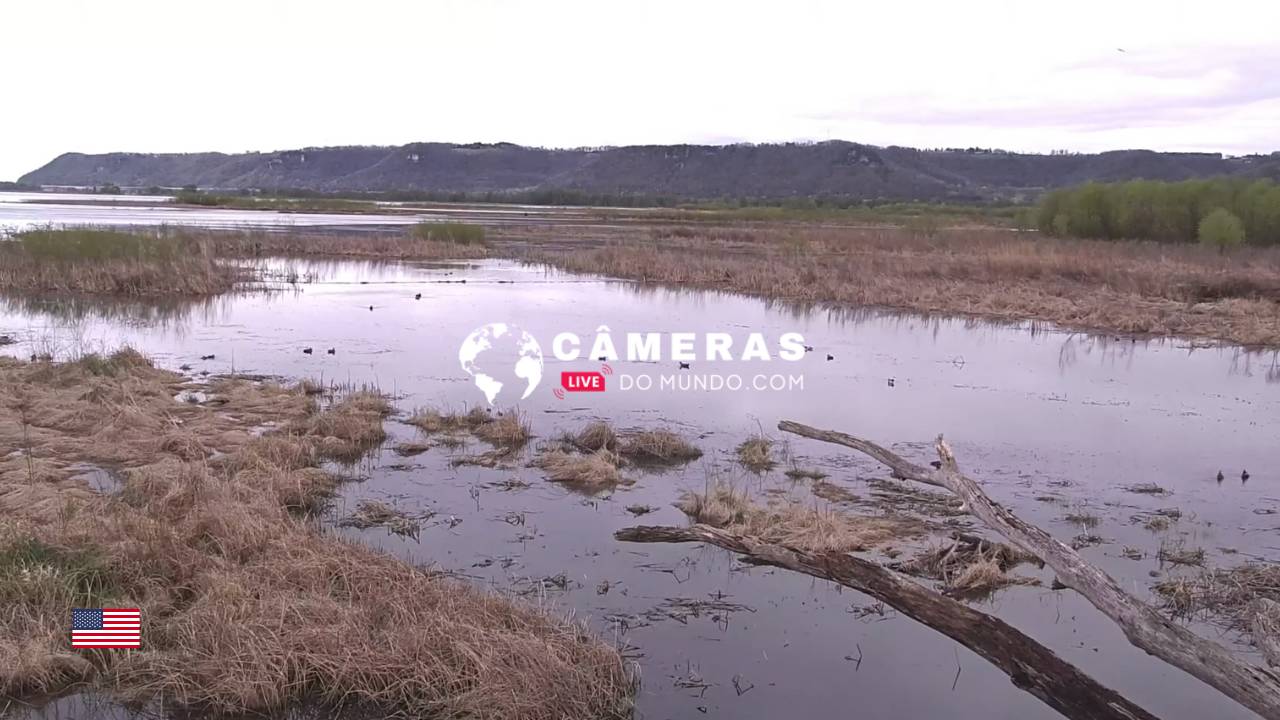 Lake Onalaska, Mississippi River Live Webcam, USA | Live webcams